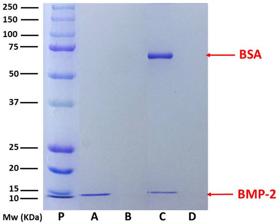 Formulation, Colloidal Characterization, and In Vitro Biological Effect ...