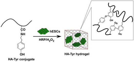 Strategies for Hyaluronic Acid-Based Hydrogel Design in Drug Delivery
