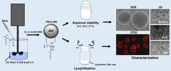 Pharmaceutics | Free Full-Text | Shelf-Life Evaluation and ...