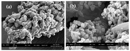 Microencapsulation Curcuminoids for Effective Delivery in ...