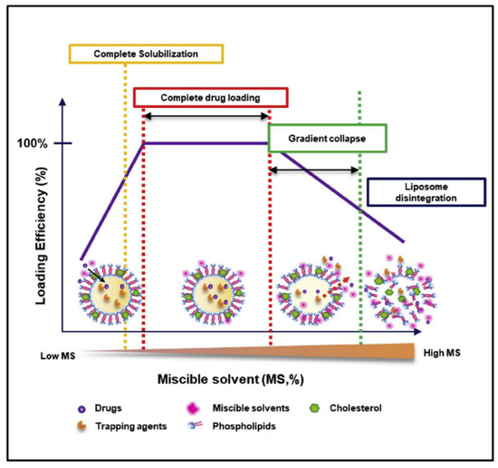 Development and Characterization of the Solvent-Assisted Active Loading ...