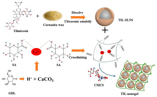 Pharmaceutics | Special Issue : Gels and in Situ Gelling Formulations ...