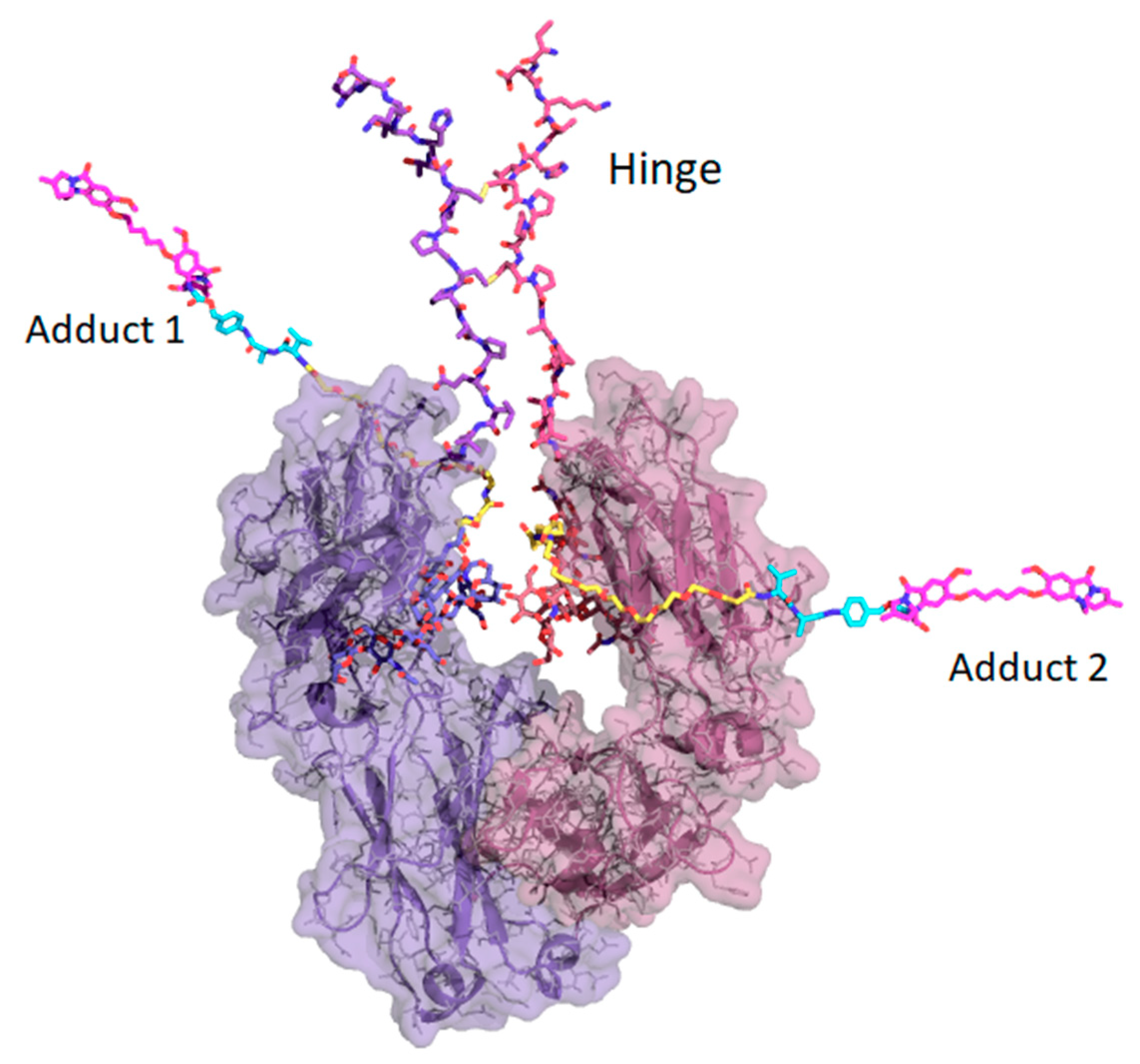 Pharmaceutics | Free Full-Text | Structure and Dynamics of a Site ...