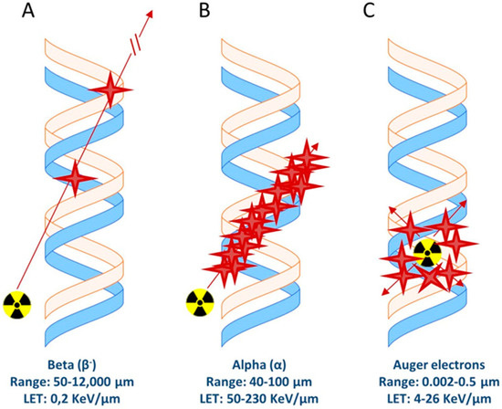The Future of PSMA-Targeted Radionuclide Therapy: An Overview of Recent ...