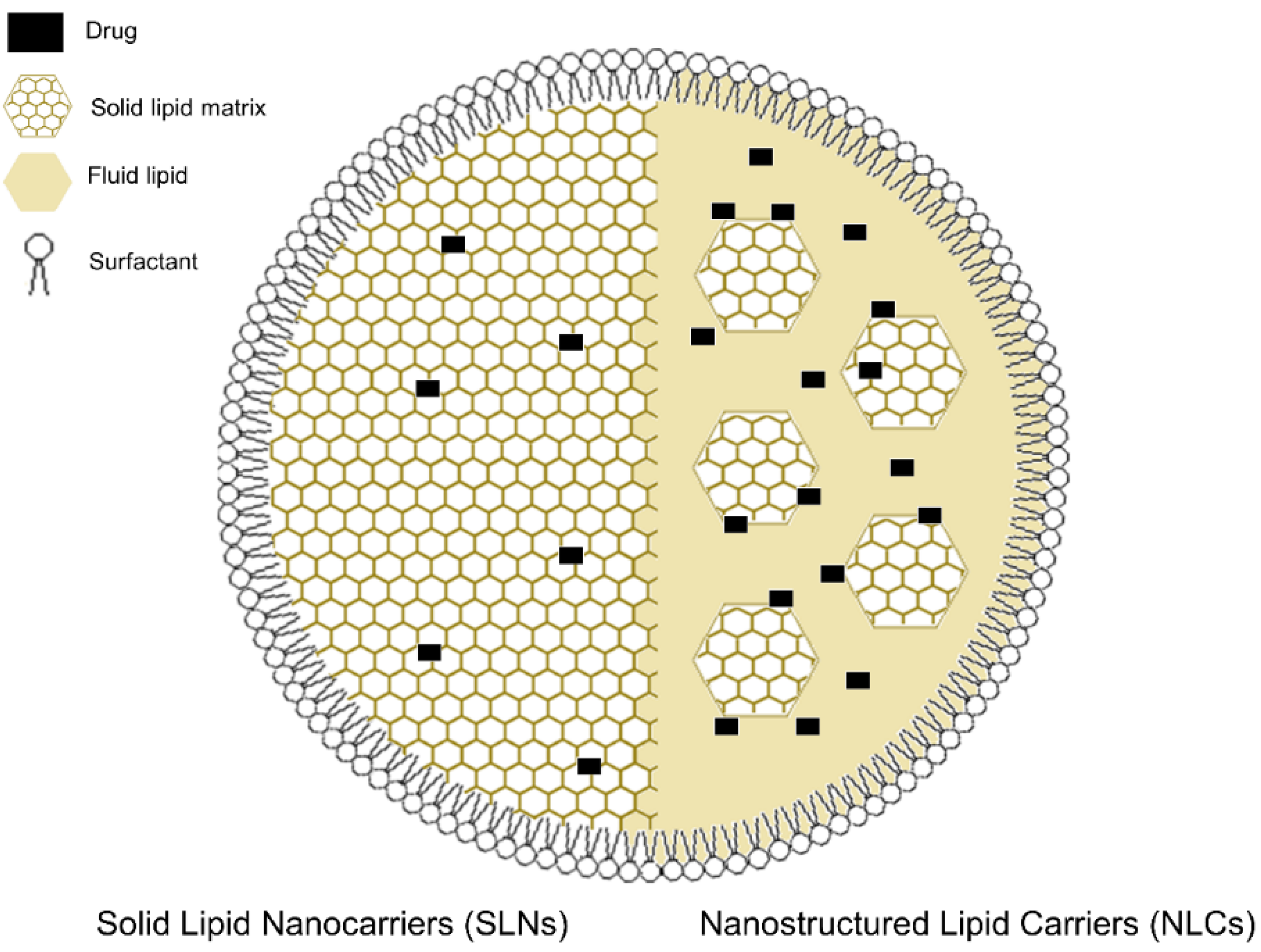 Advances in Lipid and Metal Nanoparticles for Antimicrobial Peptide ...