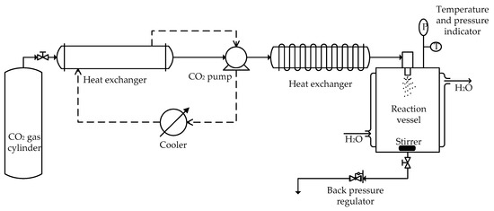 Pharmaceutics | Free Full-Text | Preparation, Characterization, and In ...