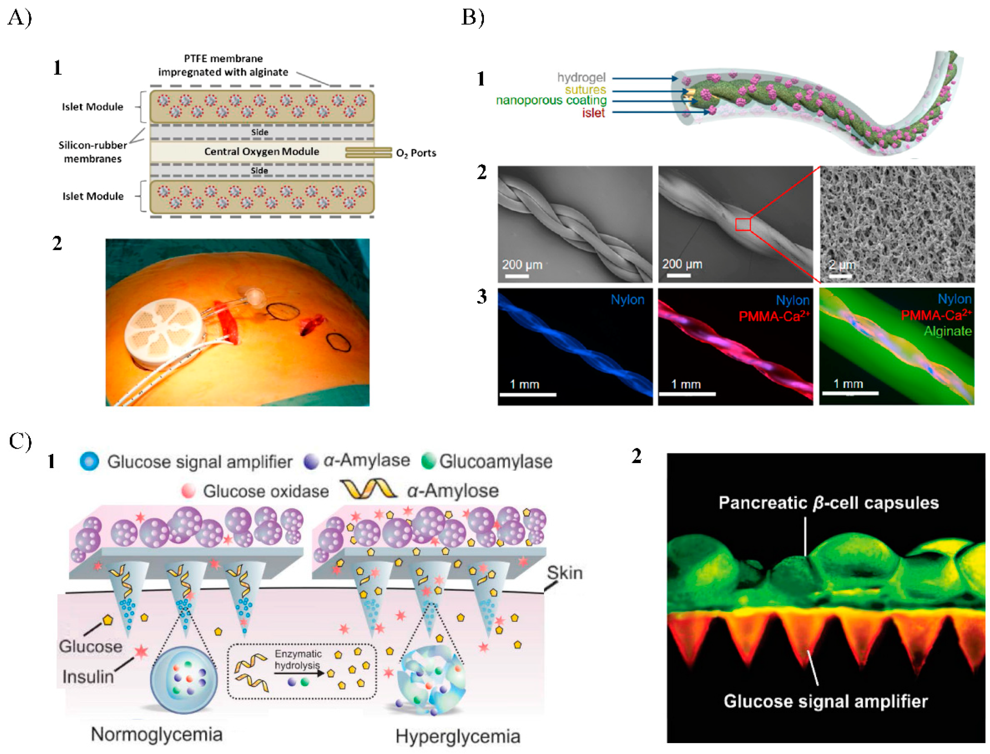 Review of Advanced Hydrogel-Based Cell Encapsulation Systems for ...