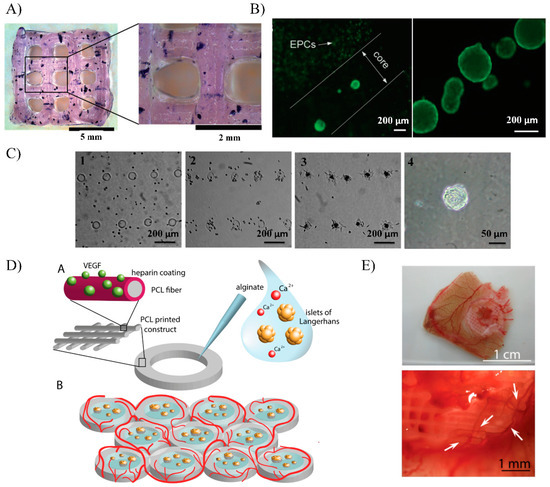 Review of Advanced Hydrogel-Based Cell Encapsulation Systems for ...