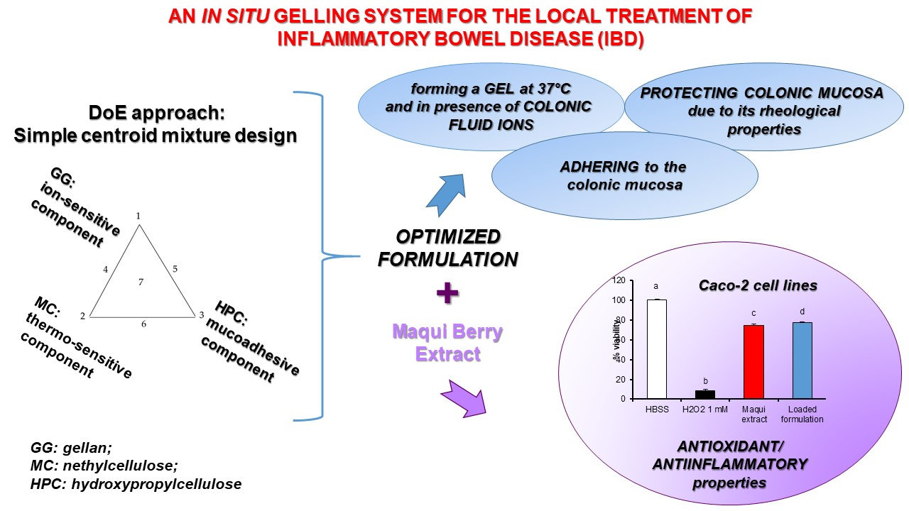 Pharmaceutics | Free Full-Text | An In Situ Gelling System for the ...