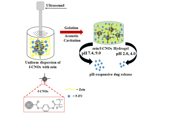 Pharmaceutics | Free Full-Text | Development of Functionalized Carbon ...