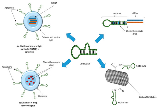 Aptamers as Delivery Agents of siRNA and Chimeric Formulations for the ...