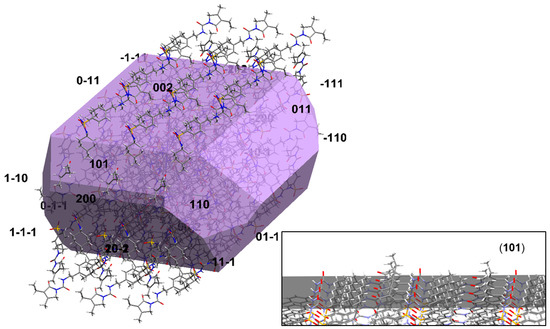 Pharmaceutics | Special Issue : Drug Nanocrystals