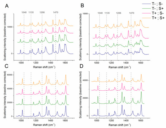 Pharmaceutics | Free Full-Text | Exploring the Complexity of Processing ...