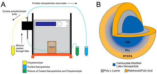 Formulation of Folate-Modified Raltitrexed-Loaded Nanoparticles for ...