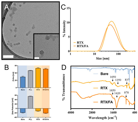 Formulation of Folate-Modified Raltitrexed-Loaded Nanoparticles for ...