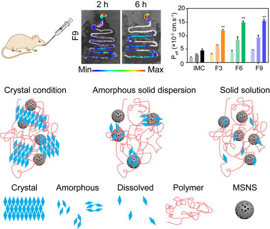 Pharmaceutics | Free Full-Text | Evaluation of the Solid Dispersion ...