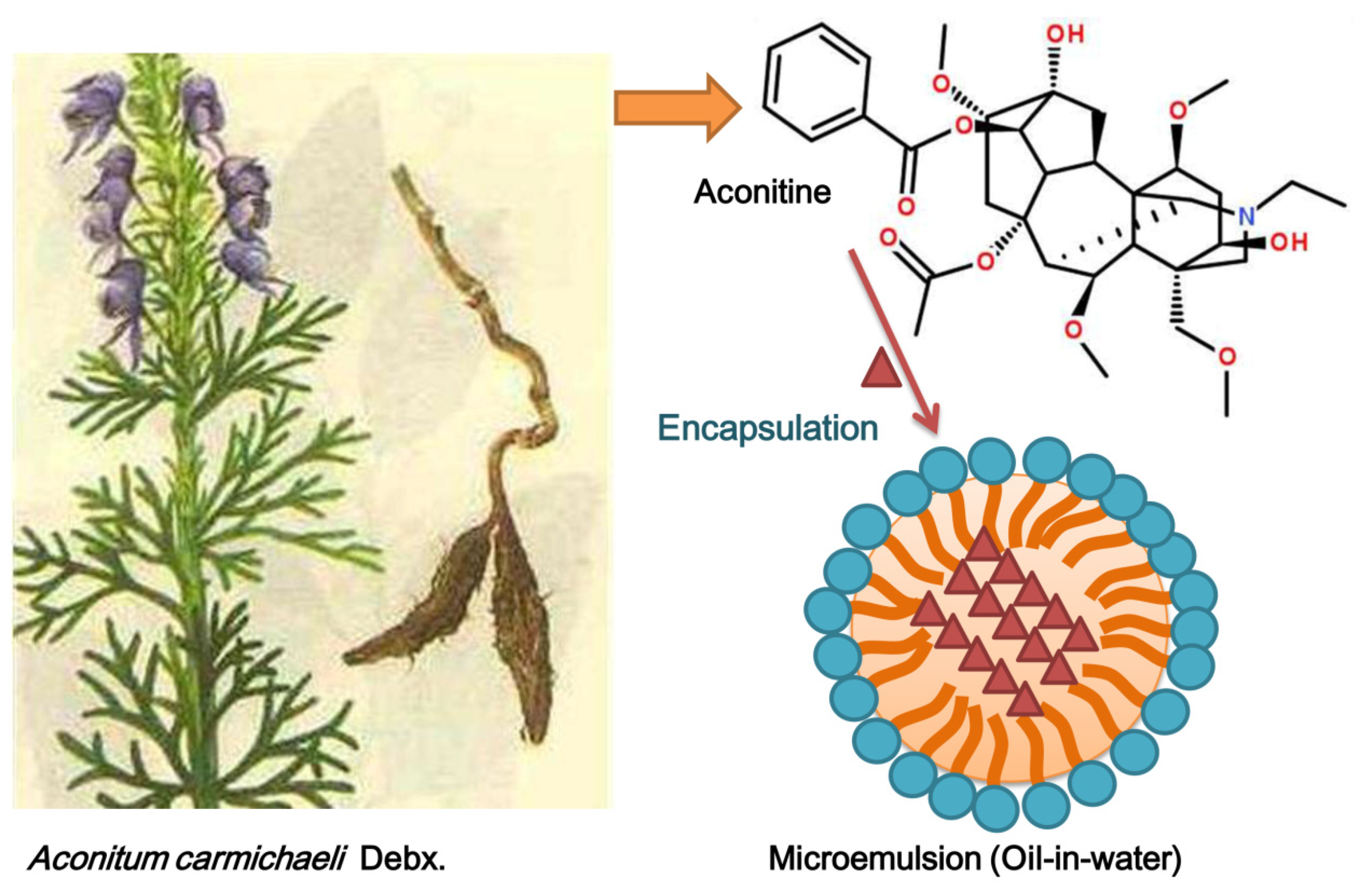 Improved Biosafety and Transdermal Delivery of Aconitine via Diethylene ...