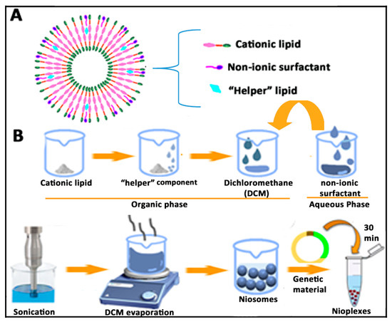 Niosome-Based Approach for In Situ Gene Delivery to Retina and Brain ...