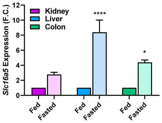 Monocarboxylate Transporter 6-Mediated Interactions with Prostaglandin ...
