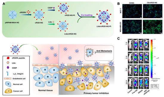 Nanogel: A Versatile Nano-Delivery System for Biomedical Applications