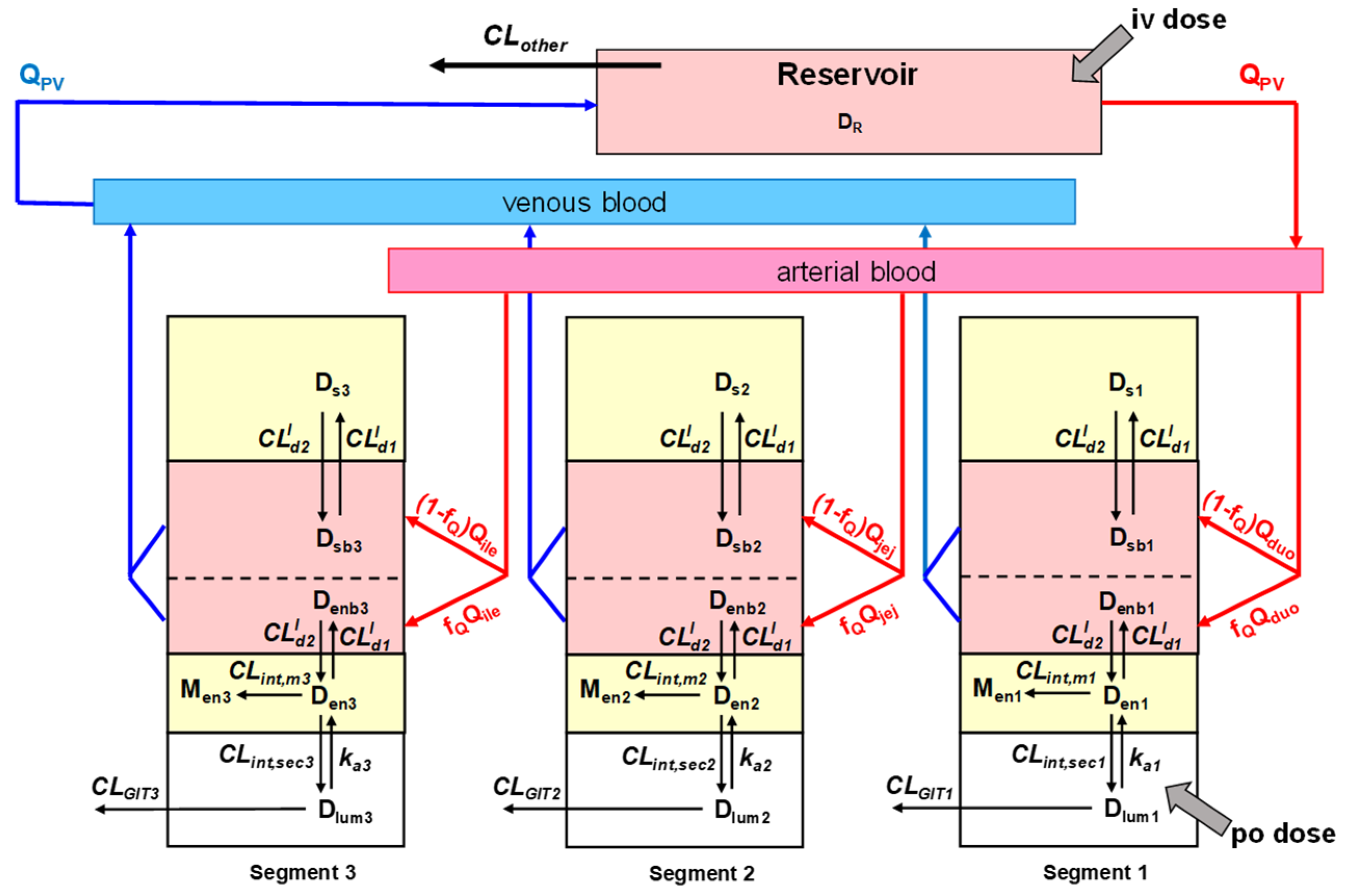 The Segregated Intestinal Flow Model (SFM) for Drug Absorption and Drug ...