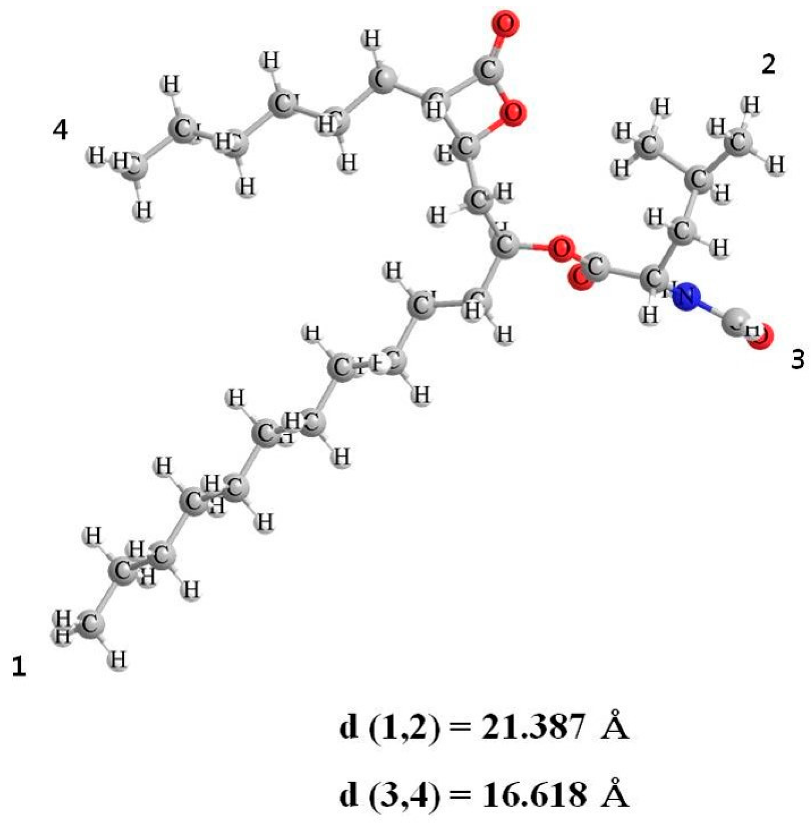 Pharmaceutical Characterization and In Vivo Evaluation of Orlistat ...