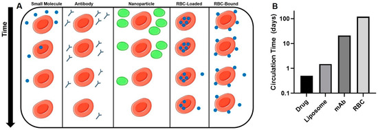 Vascular Drug Delivery Using Carrier Red Blood Cells: Focus on RBC ...