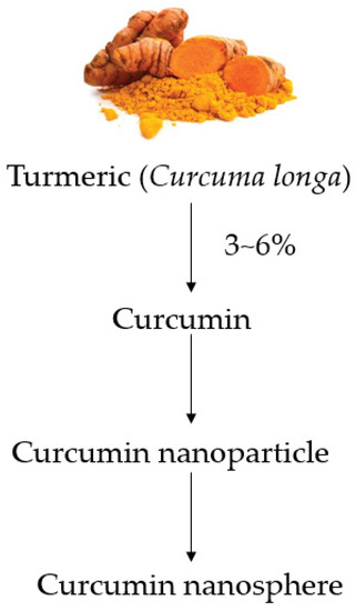 Curcumin, Curcumin Nanoparticles and Curcumin Nanospheres: A Review on ...