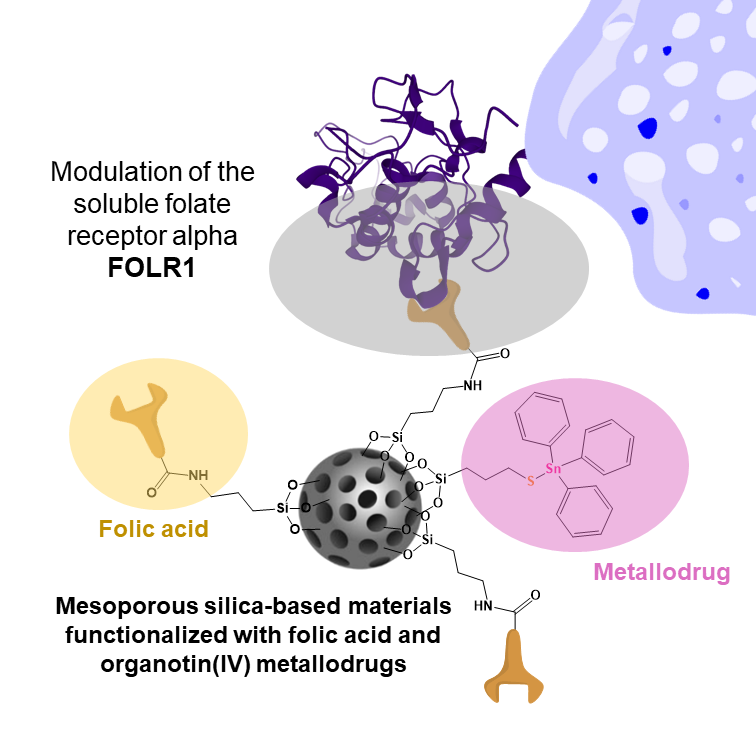 Pharmaceutics | Free Full-Text | Role of Folic Acid in the Therapeutic ...