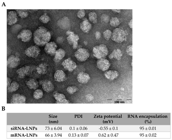 Resveratrol Enhances mRNA and siRNA Lipid Nanoparticles Primary CLL ...