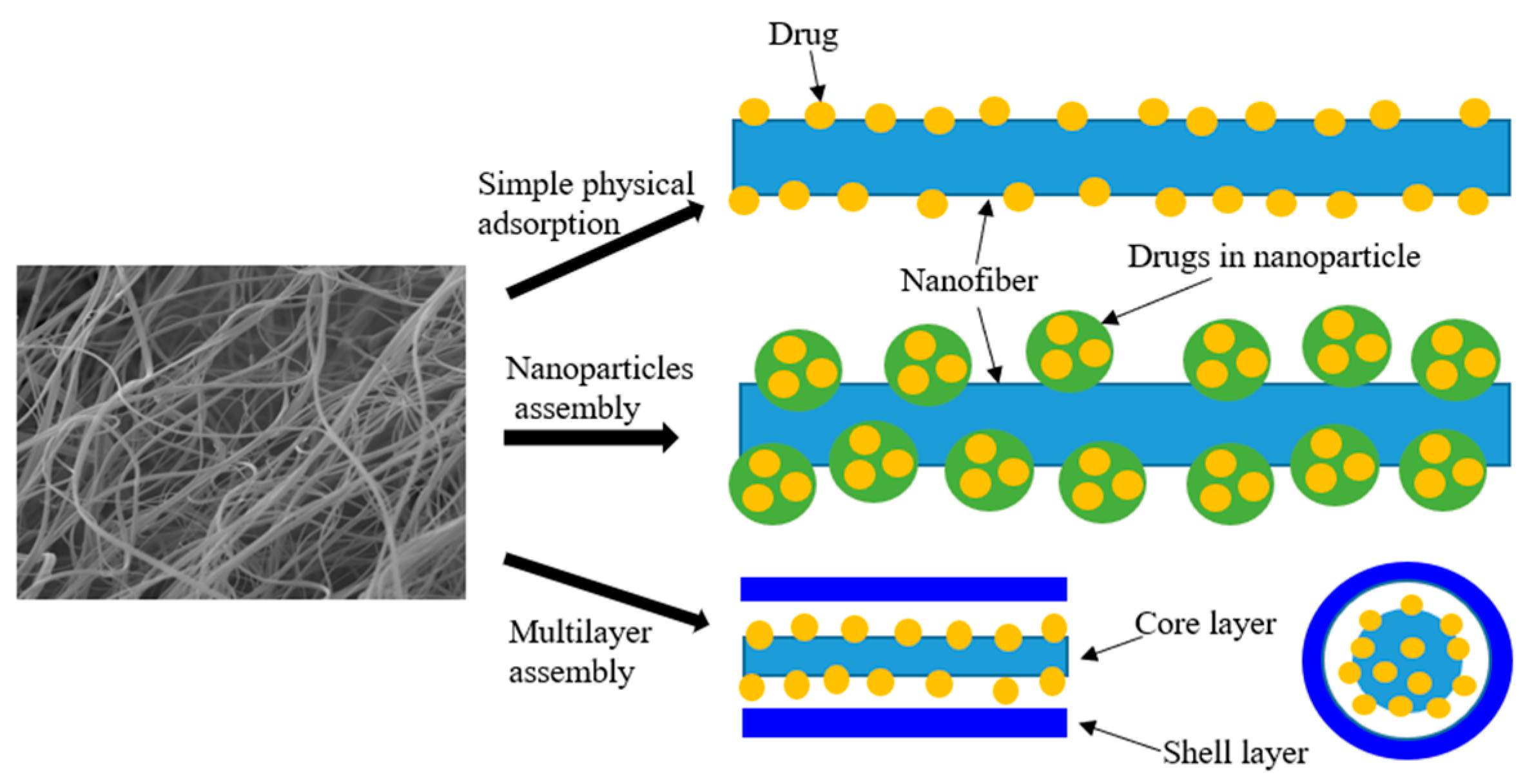 Functional Nanofibrous Biomaterials of Tailored Structures for Drug ...