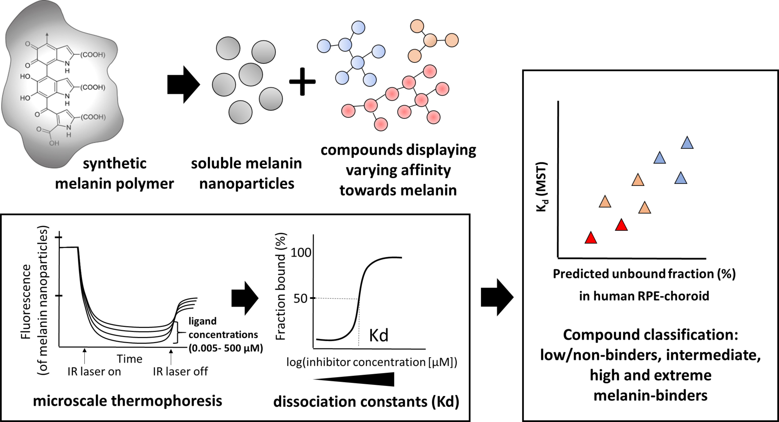 Pharmaceutics | Free Full-Text | Microscale Thermophoresis as a ...