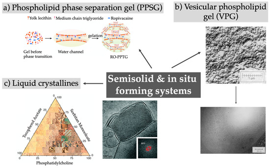 Injectable Lipid-Based Depot Formulations: Where Do We Stand?