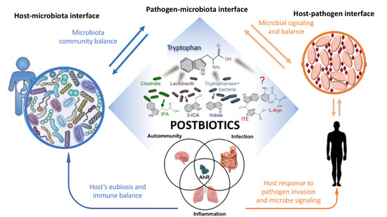 Pharmaceutics | Free Full-Text | Postbiotic-Enabled Targeting of the Host-Microbiota-Pathogen ...