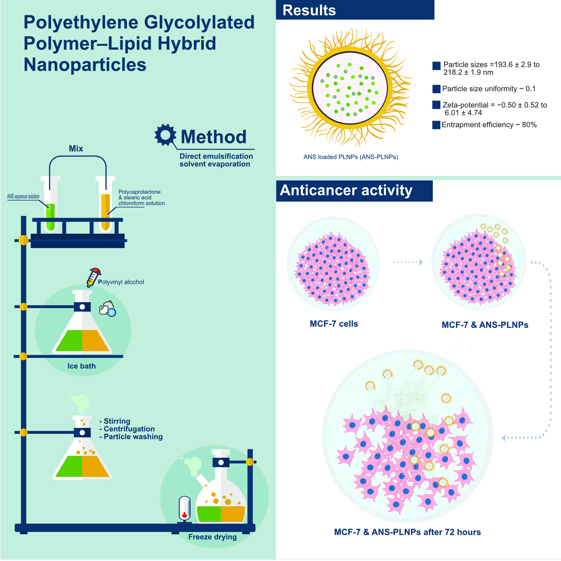 Pharmaceutics | Free Full-Text | Optimized Polyethylene Glycolylated ...