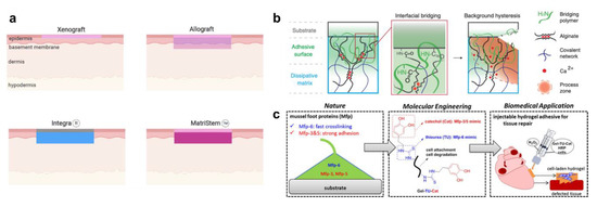 Uniting Drug and Delivery: Metal Oxide Hybrid Nanotherapeutics for Skin ...