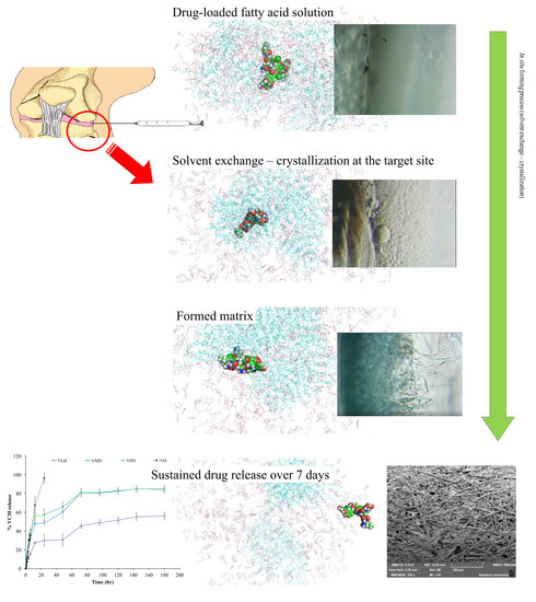 Pharmaceutics | Free Full-Text | Saturated Fatty Acid-Based In Situ ...