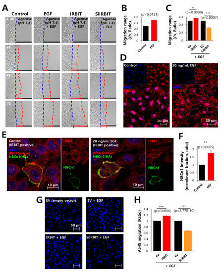 Pharmaceutics | Special Issue : New Formulations for Cancer Therapy