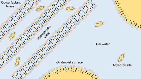 Pharmaceutics | Free Full-Text | The Influence of Co-Surfactants on ...