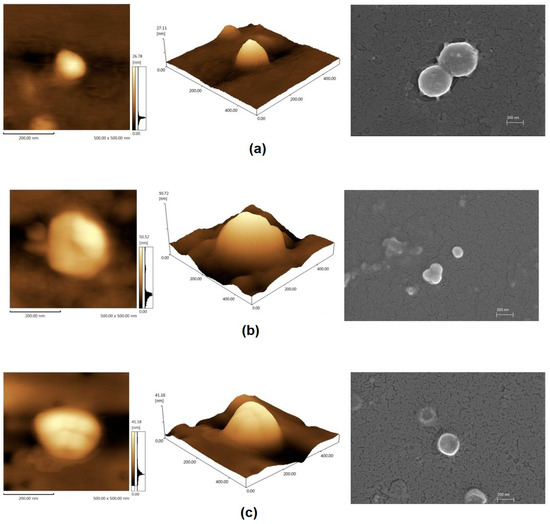 Phytol-Loaded Solid Lipid Nanoparticles as a Novel Anticandidal ...