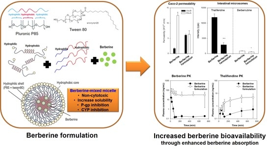 Pharmaceutics | Free Full-Text | Enhanced Intestinal Absorption and ...