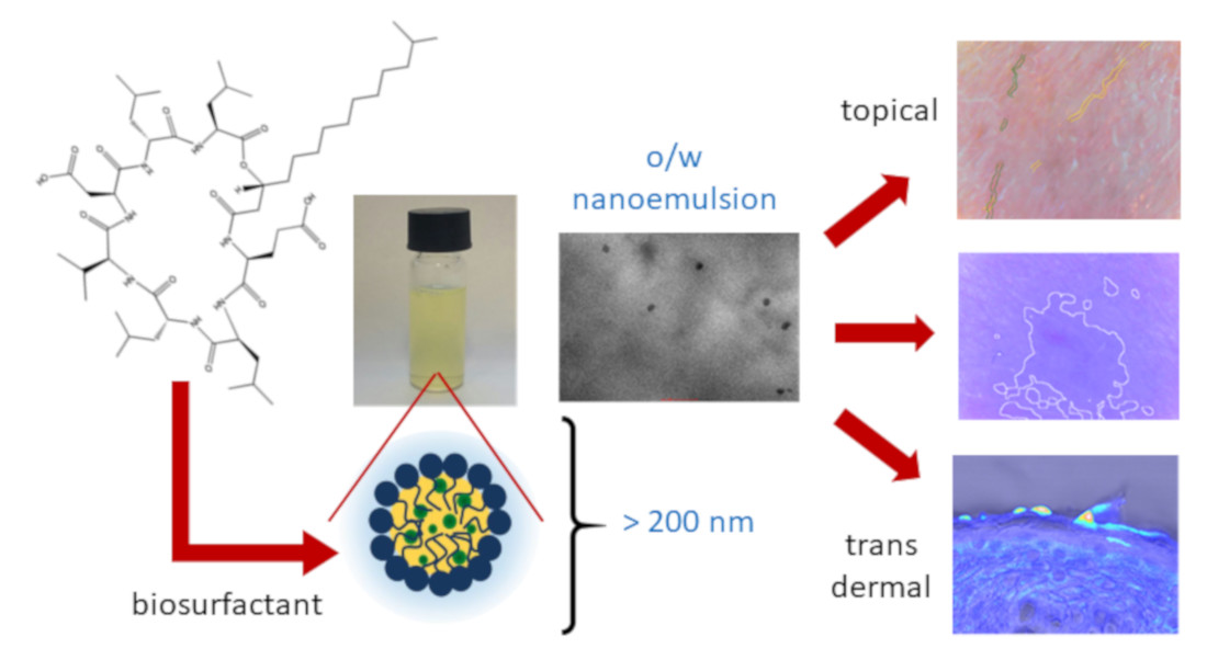 Pharmaceutics | Free Full-Text | Nanoemulsion Stabilized by Safe Surfactin from Bacillus ...