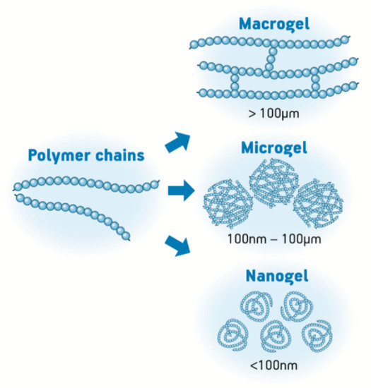 An Updated Review of Macro, Micro, and Nanostructured Hydrogels for ...