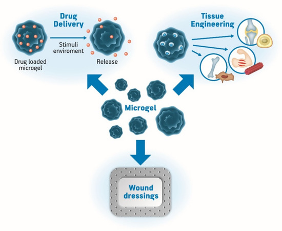 An Updated Review of Macro, Micro, and Nanostructured Hydrogels for ...