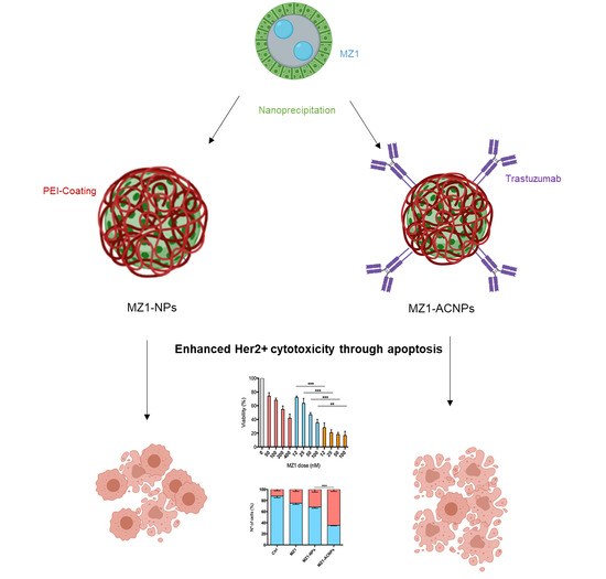 Pharmaceutics | Free Full-Text | Controlled Delivery of BET-PROTACs: In ...