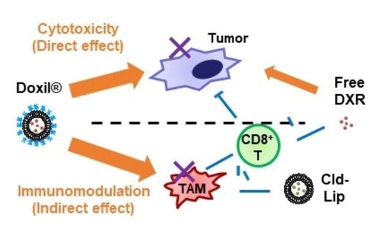 Pharmaceutics | Free Full-Text | Adjuvant Antitumor Immunity ...