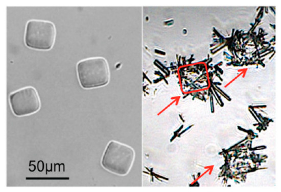 Combining Surface Templating and Confinement for Controlling ...