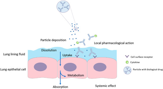 Pulmonary Delivery of Biological Drugs