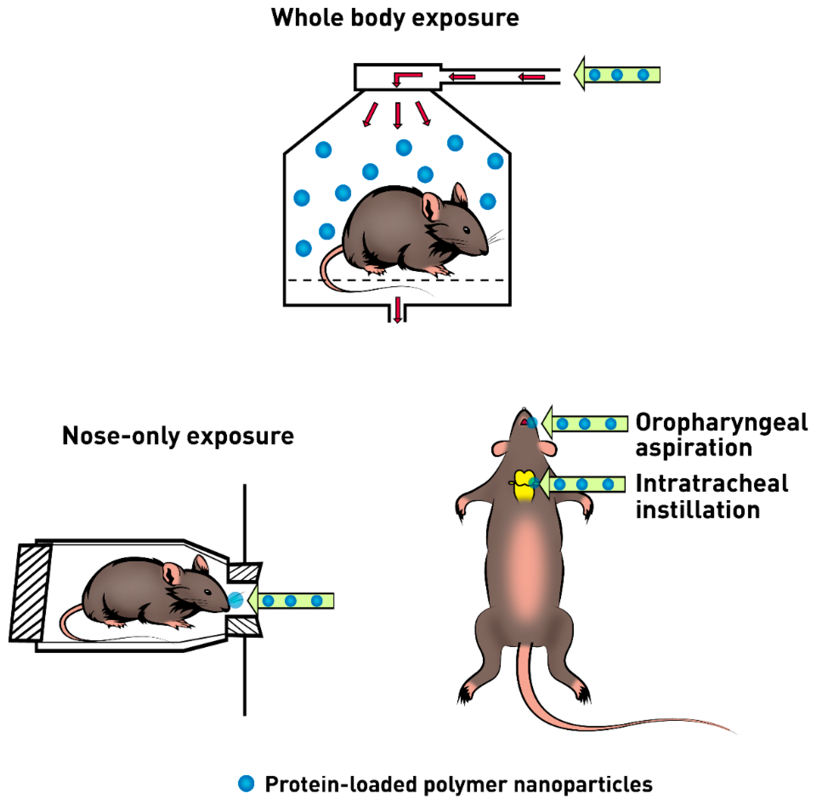An Overview on Spray-Drying of Protein-Loaded Polymeric Nanoparticles ...