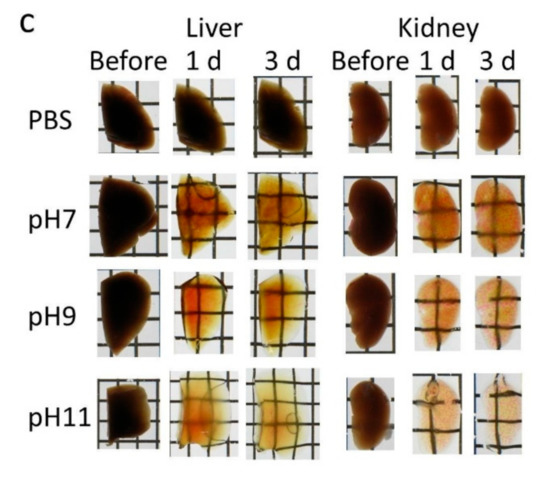 A pH-Adjustable Tissue Clearing Solution That Preserves Lipid ...
